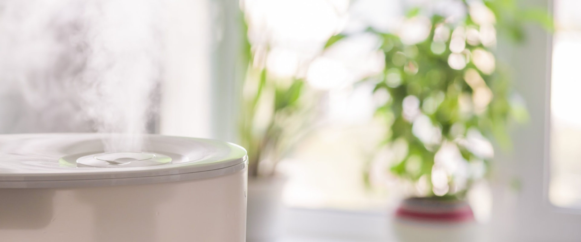 The True Purpose of Oven Filters and Why You Should Change Them